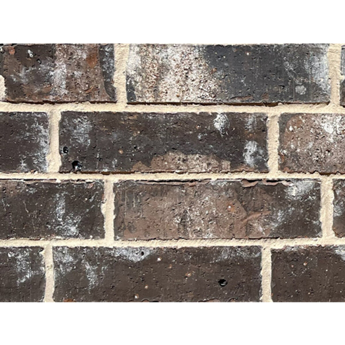 Binsa Brick Santa Monica Executive Size 10 in. x 3 in. (416 pc./pallet ...