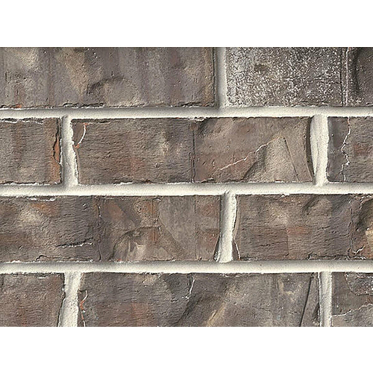 Red River Brick Sheltered Bluff Brick King Size 9-5/8 in. x 2-5/8 in. x ...