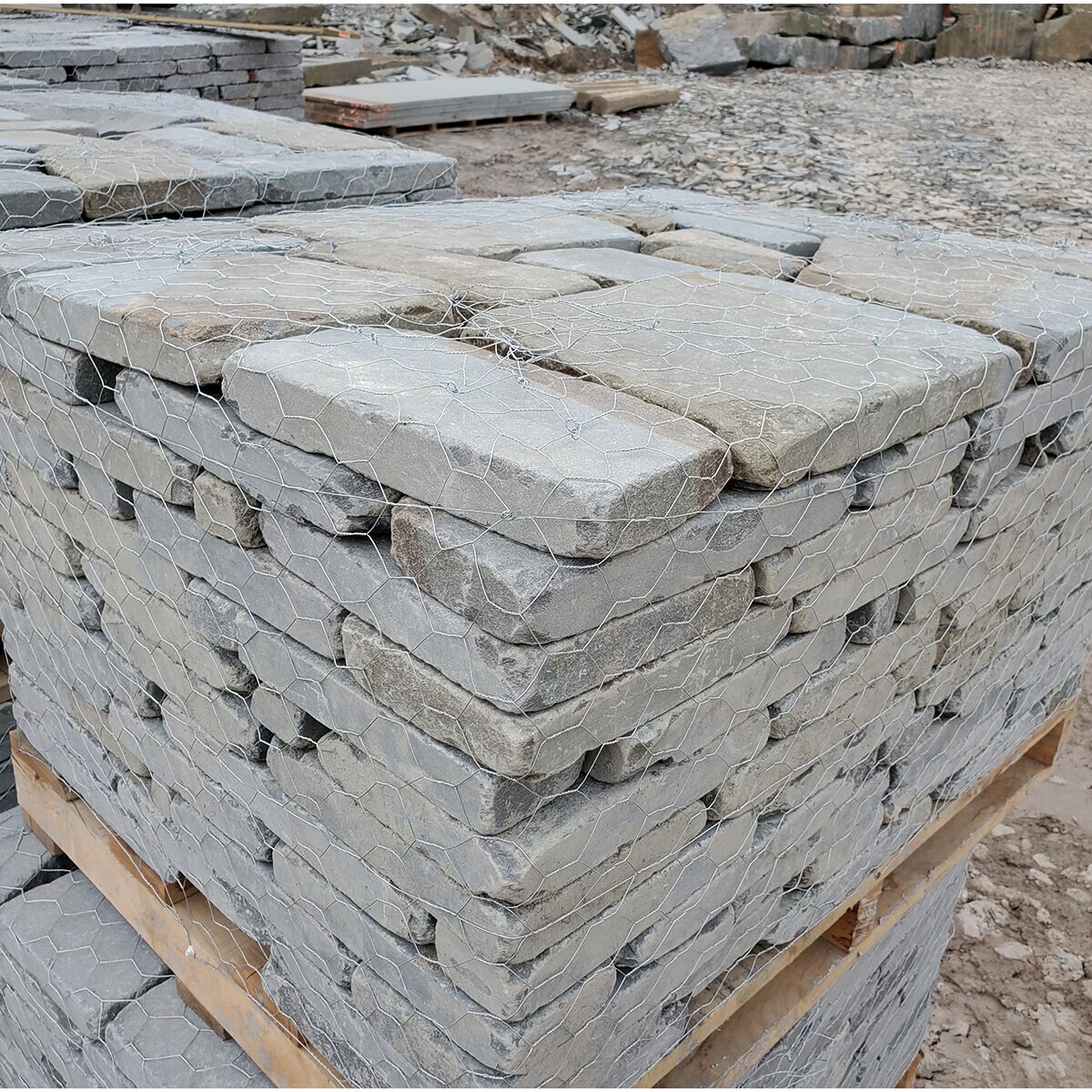 Pennsylvania Bluestone Tumbled Garden Path Full Color Medium | SiteOne US
