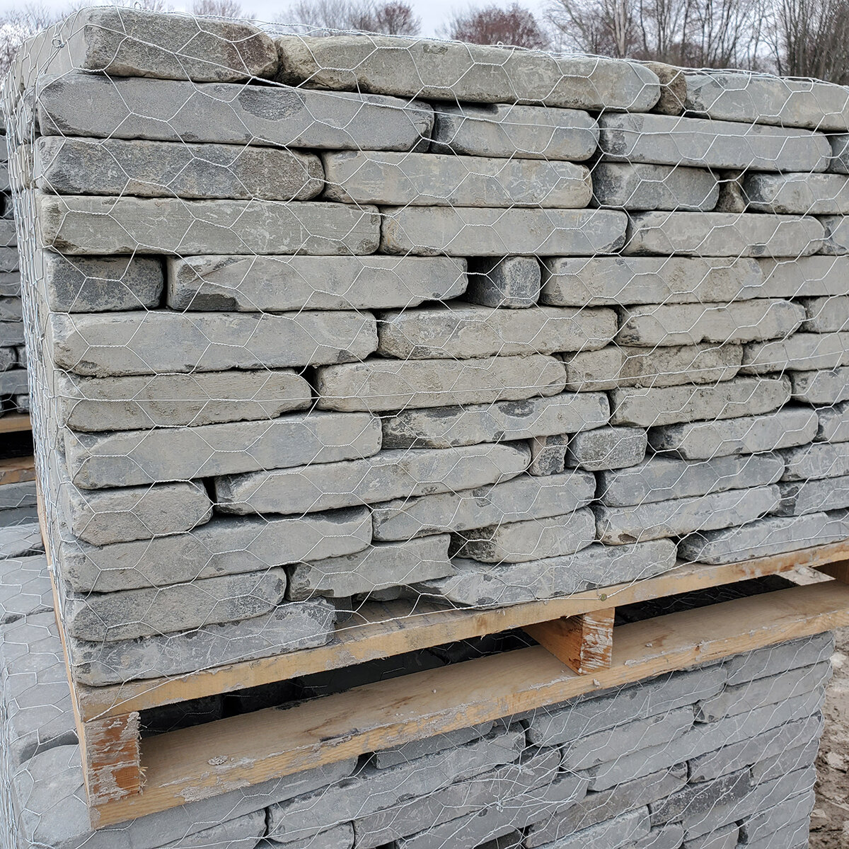 Pennsylvania Bluestone Tumbled Garden Path Full Color Medium | SiteOne US