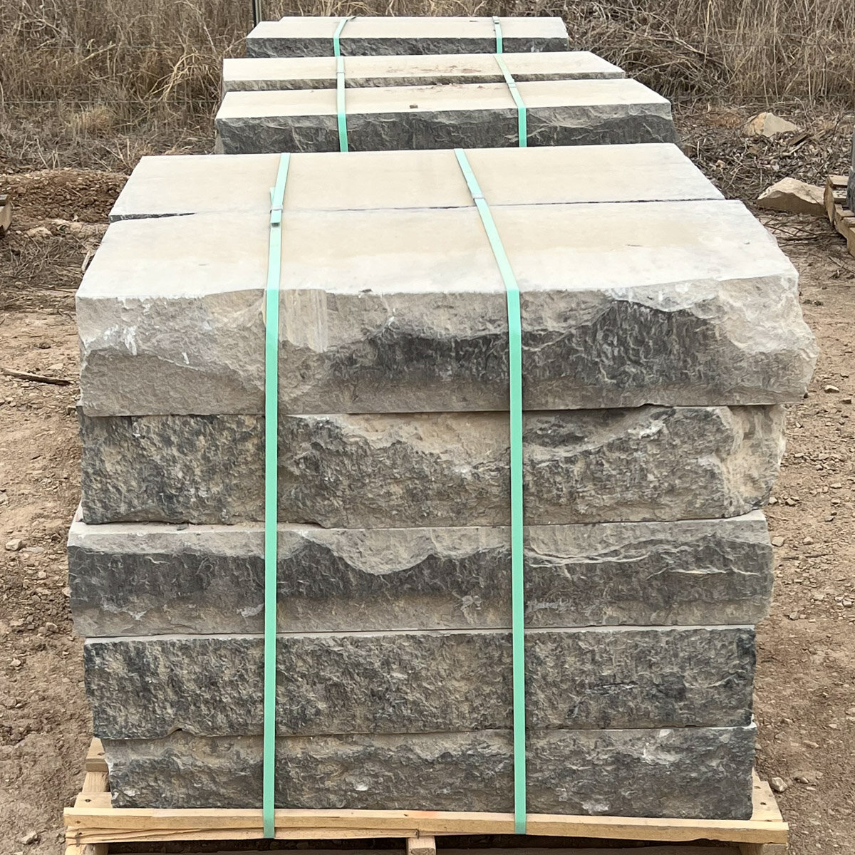 Step Lueders Limestone Charcoal 18 in. x 36 in | SiteOne US