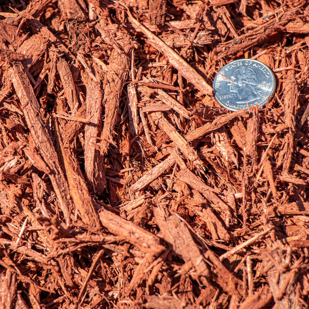 Dyed Red Mulch Bulk (Sold per cu. yd.) | SiteOne US