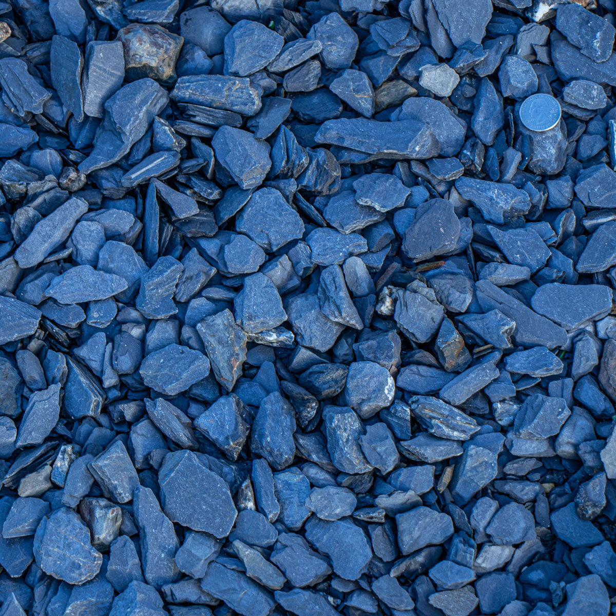 Bulk Slate Chips Medium | SiteOne US
