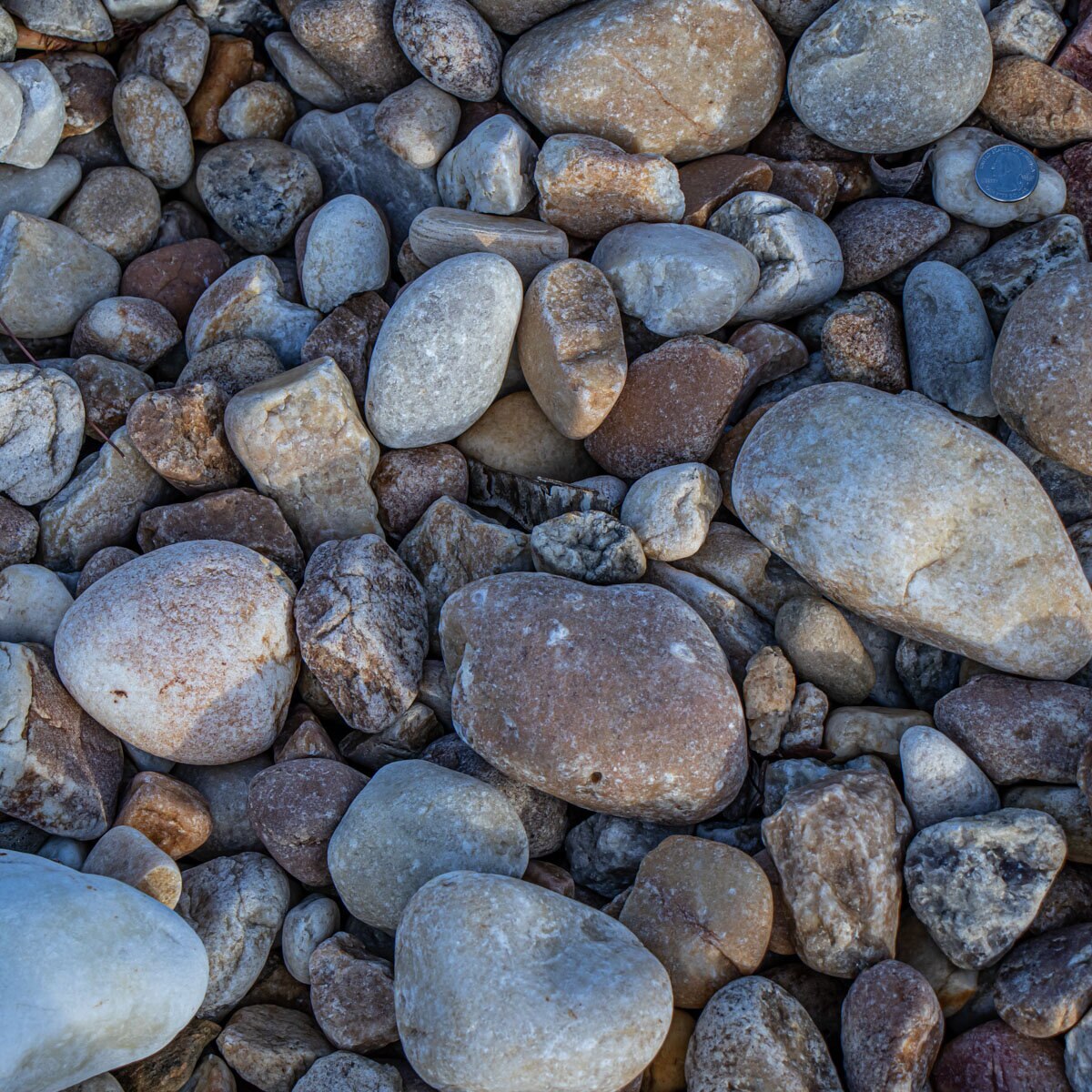 Bulk Alabama Brown Oversize Stone | SiteOne US