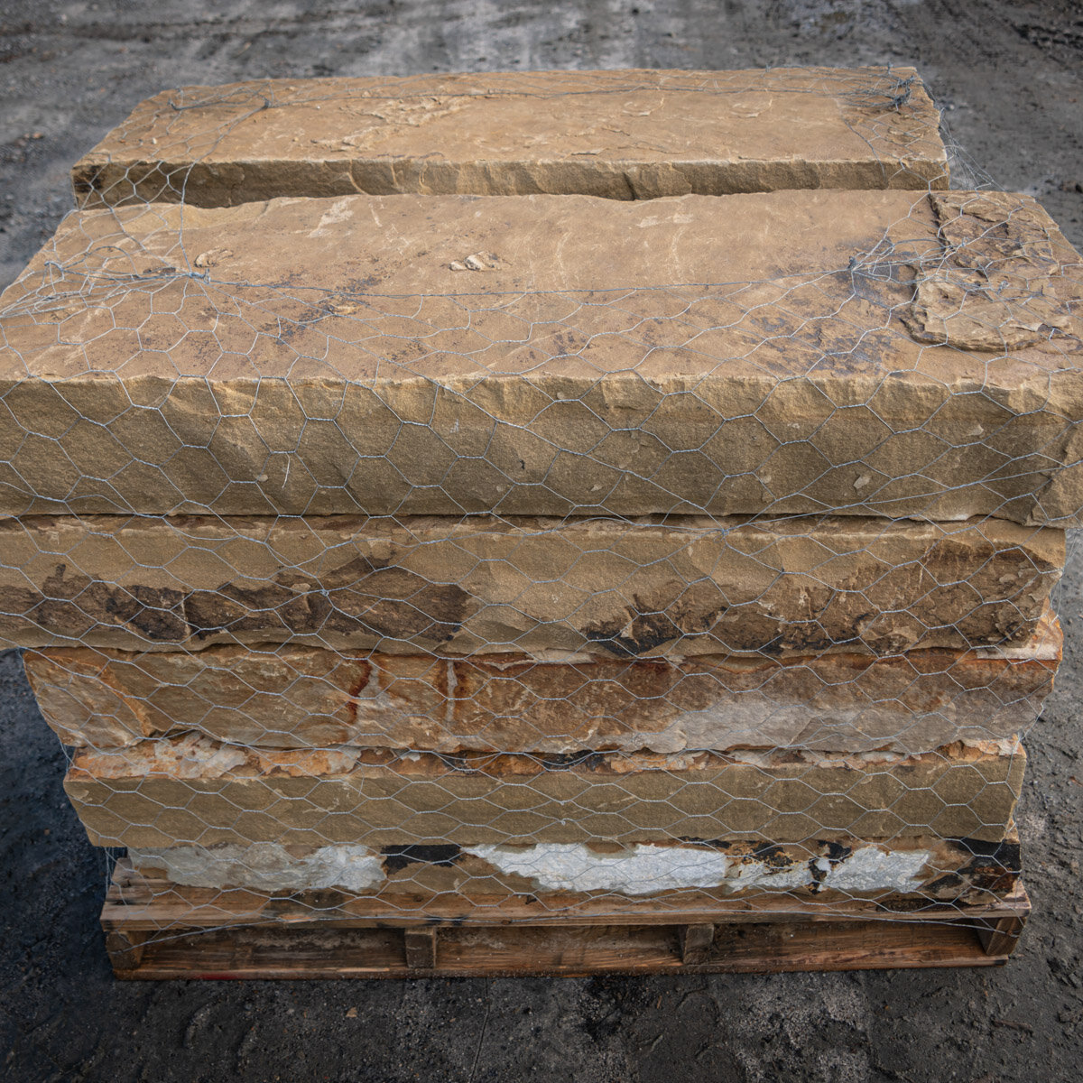 Step Oklahoma Brown 18 in. x 48 in | SiteOne US