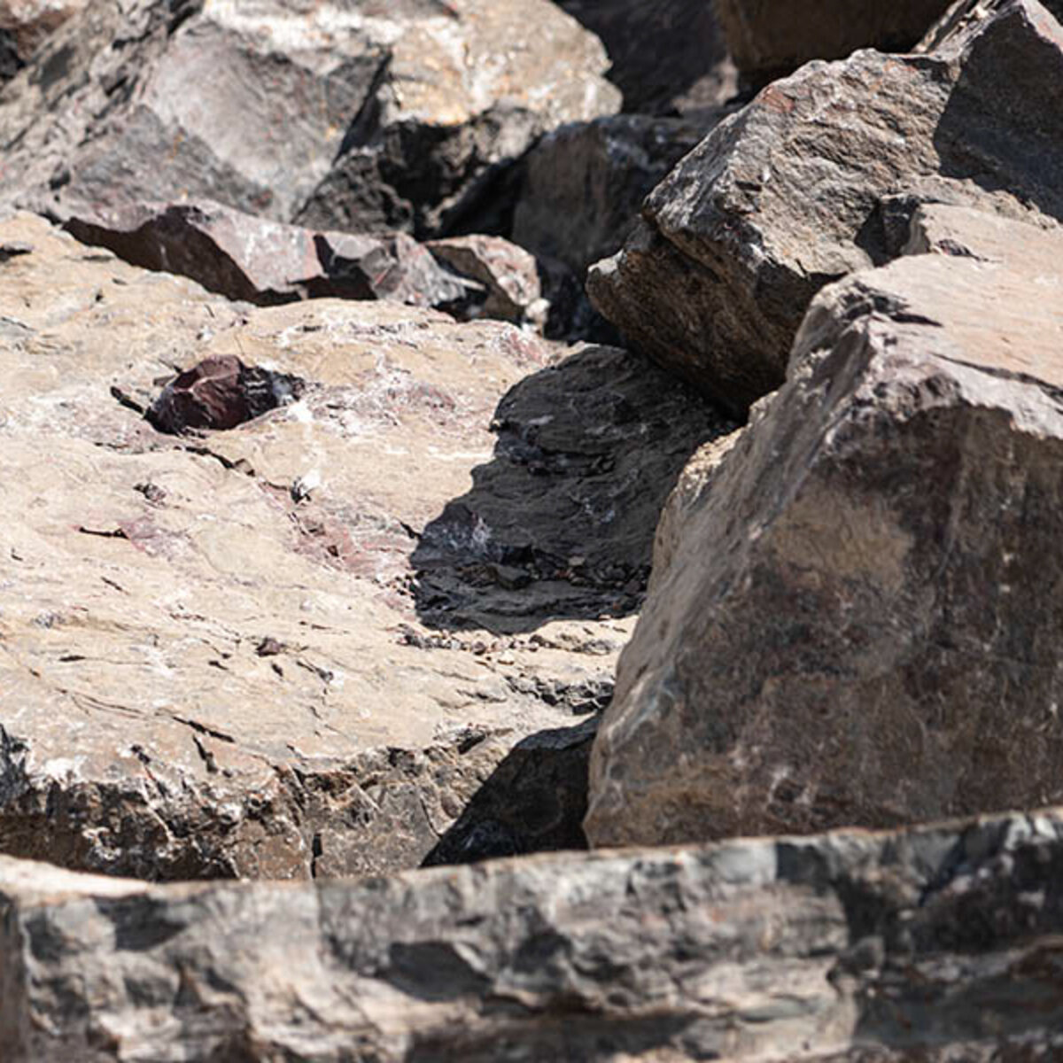 Bleeding Jasper Boulders 16 - 48 in | SiteOne US