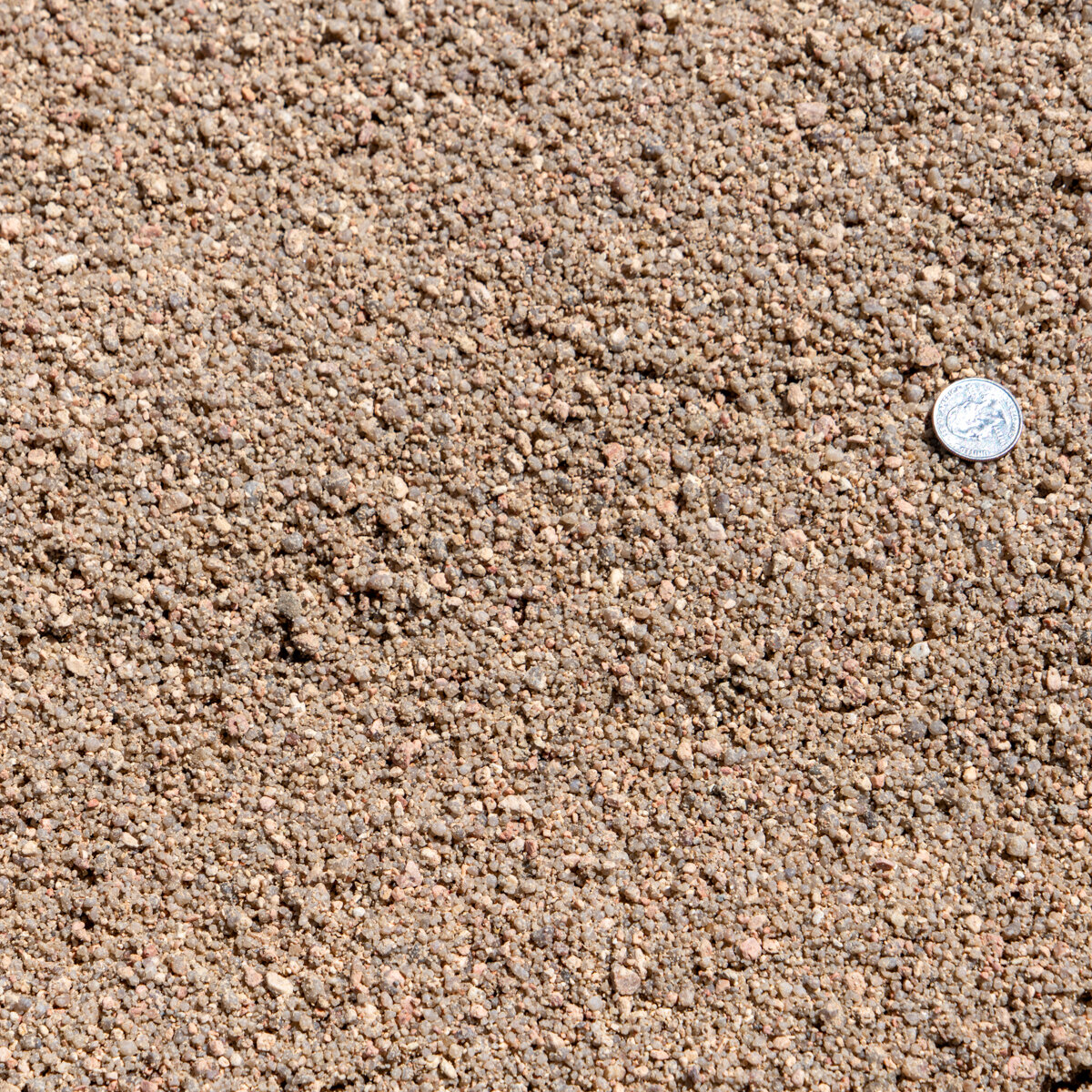 Bulk Brown Squeegee 1/4 in | SiteOne US