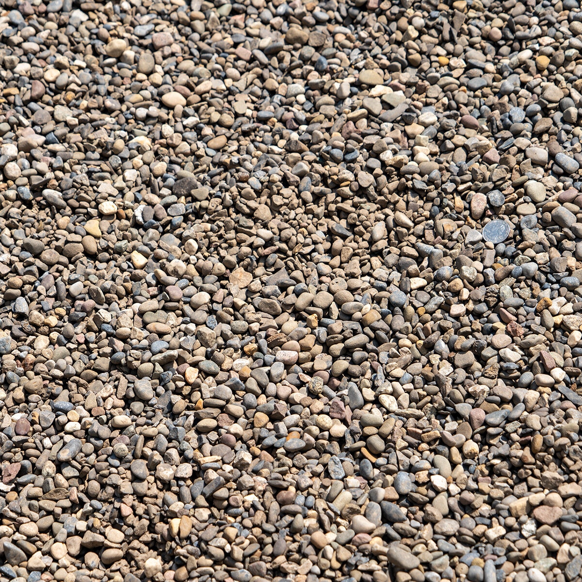 Bulk River Rock Pennsylvania Blend 3/8 in | SiteOne US