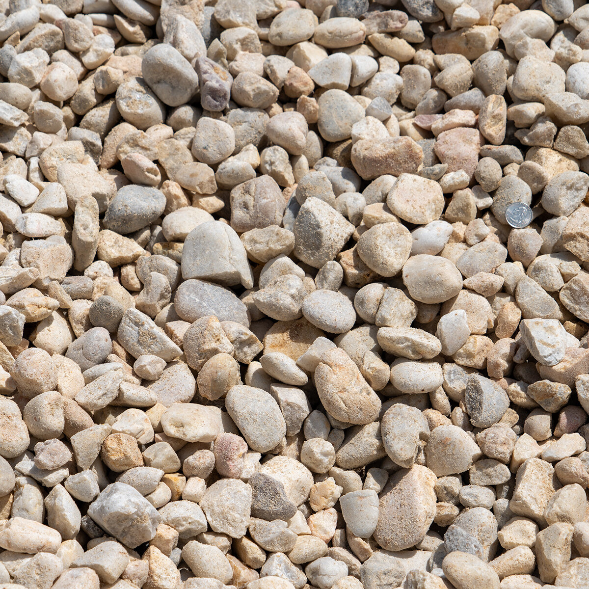 Bulk Carolina White Rock 2 in | SiteOne US