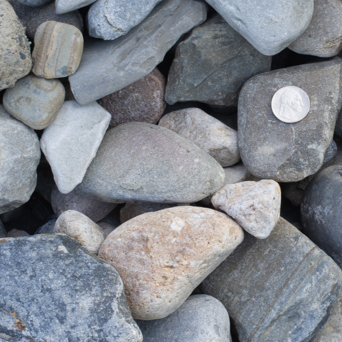 Bulk River Rock Pennsylvania Blend 1 - 3 in | SiteOne US