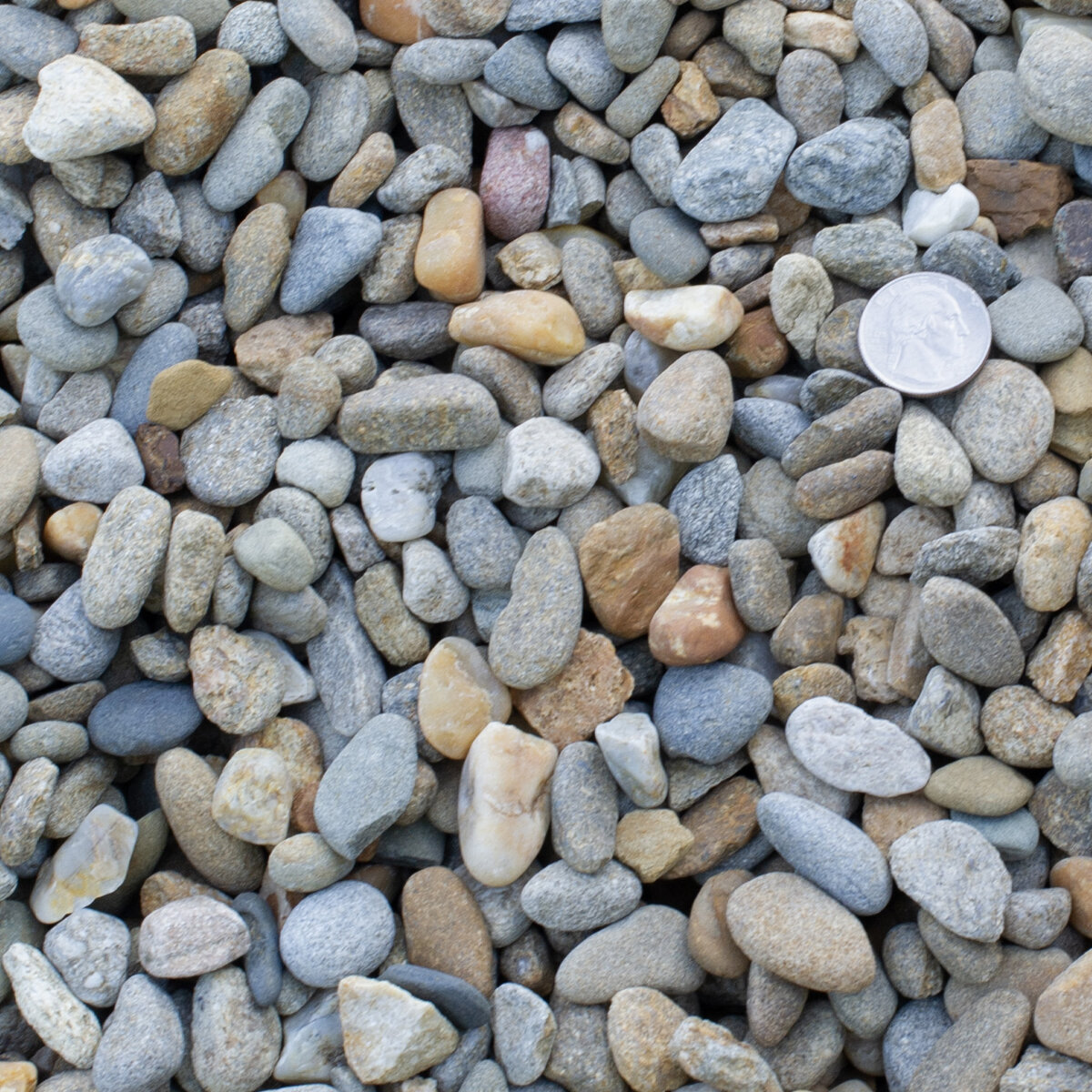 Bulk River Rock Tennessee 1/2 - 3/4 in | SiteOne US