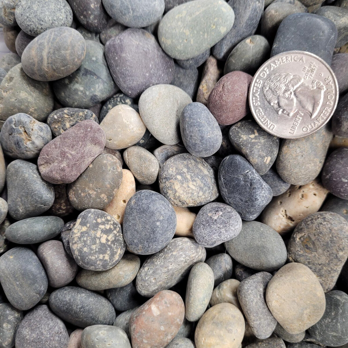 Bagged Mexican Beach Pebbles Mixed Color 3/8 - 5/8 in. (75 lb. Bag ...