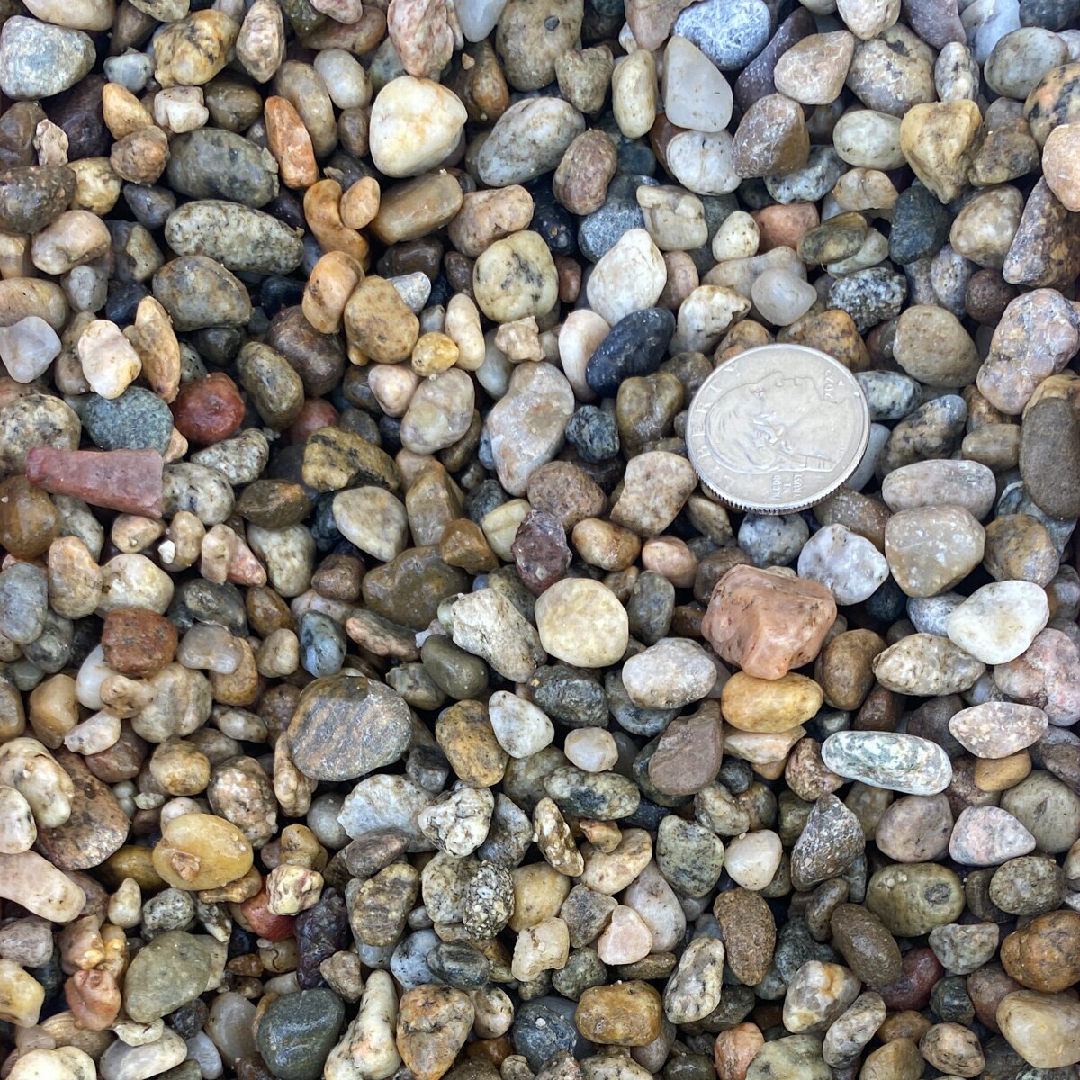 Bagged Del Rio Pebbles 3/8 in. (75 lb. bag) | SiteOne