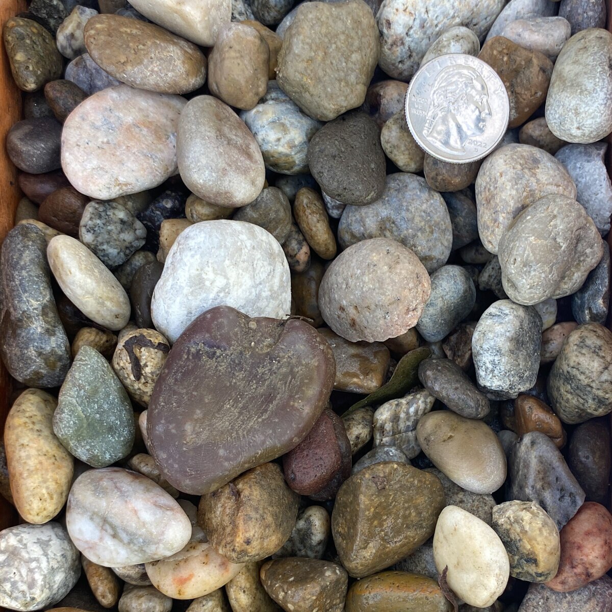Bagged Del Rio Pebbles 1 in. Minus (75 lb. Bag) | SiteOne US