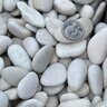 Bagged Polynesian Ivory Pebble 1/2 - 1 in. 44 lb. Bag (45 bag/pallet ...