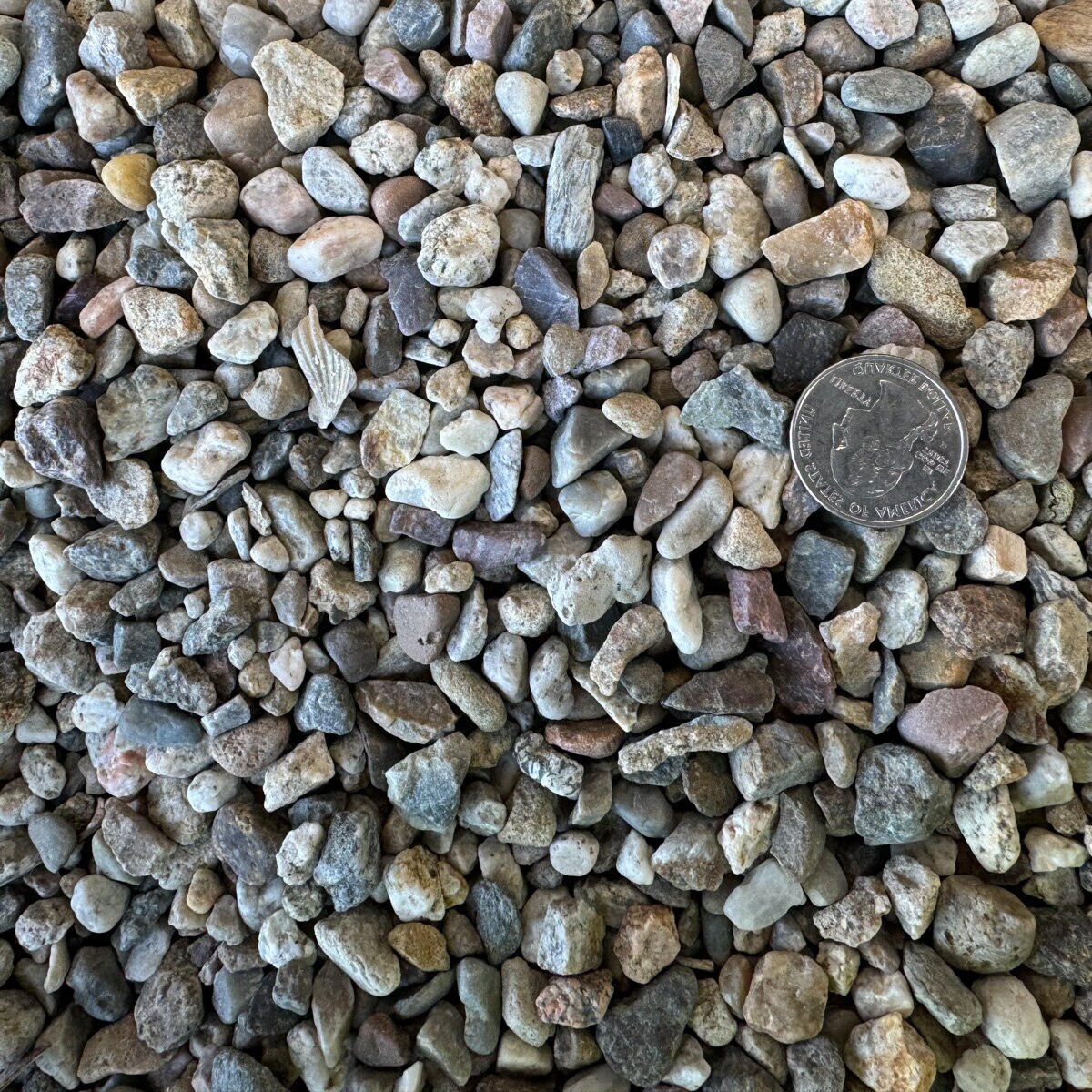 Bulk Sierra Natural Round Gravel 3/8 in | SiteOne US