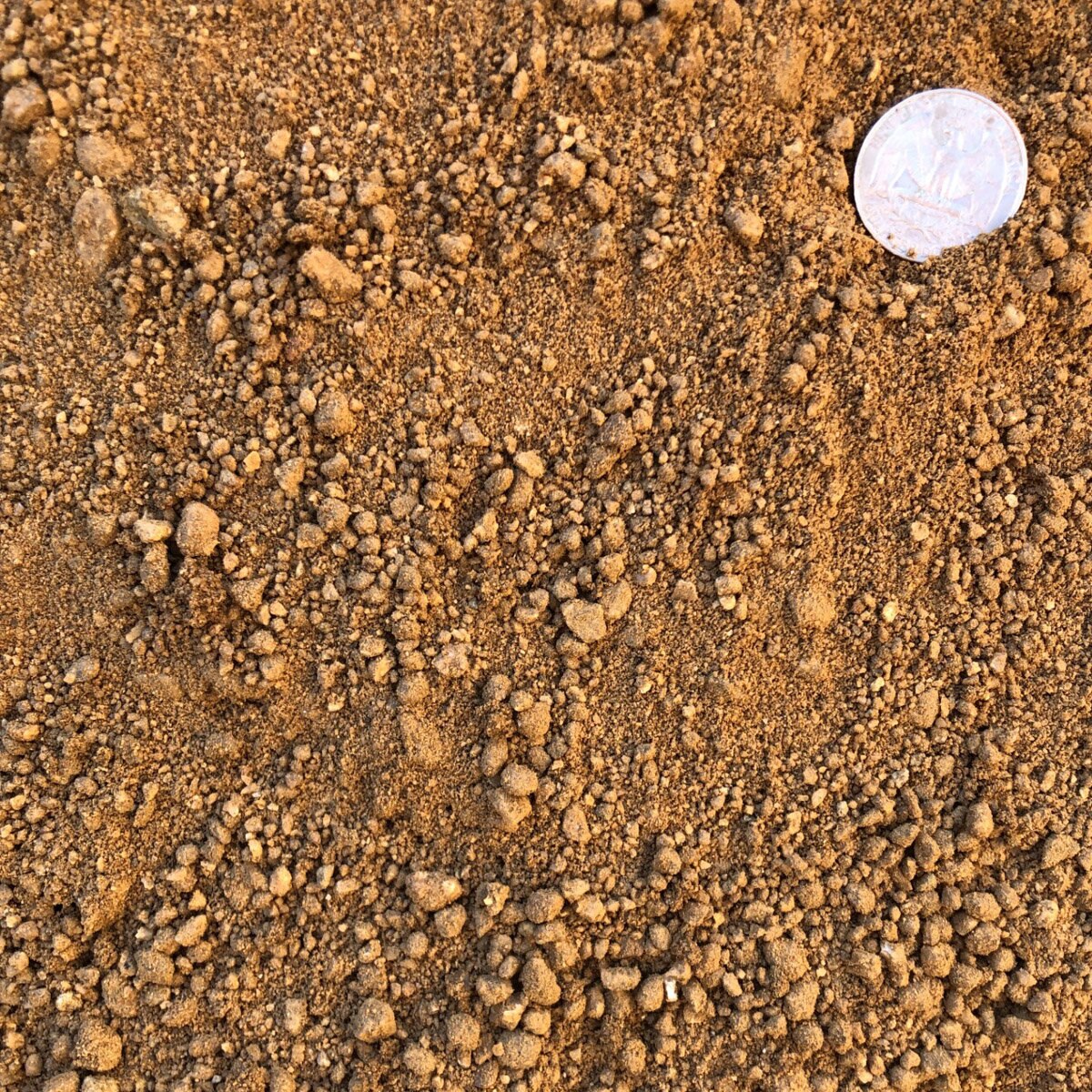 Bulk Decomposed Granite w/ Stabilizer | SiteOne