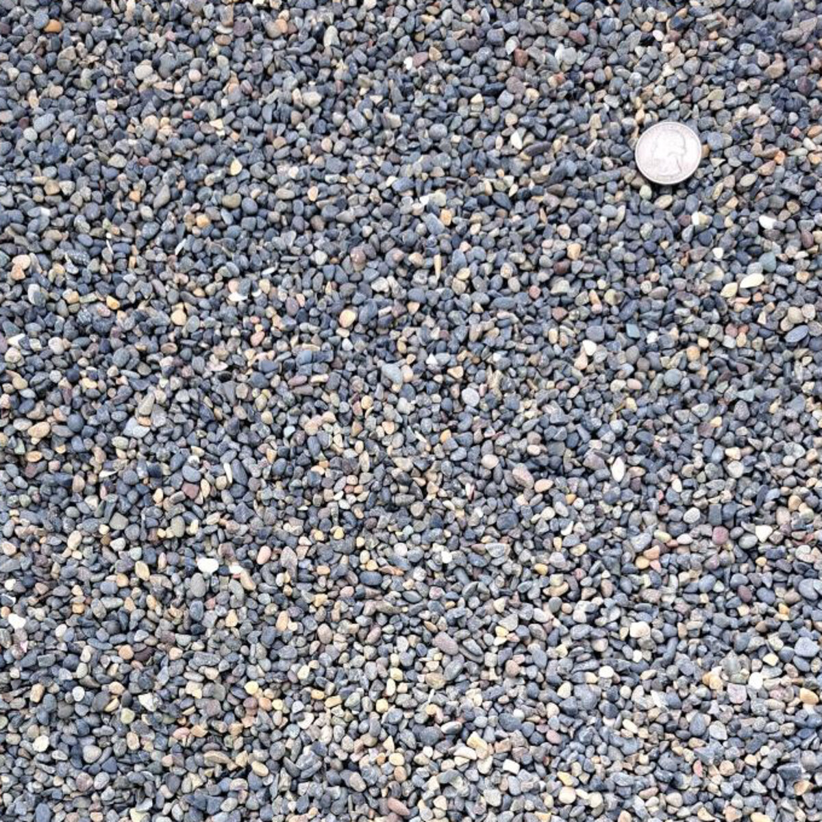 Palletized Mexican Beach Pebbles Mixed Color 1/8 - 1/4 in | SiteOne US