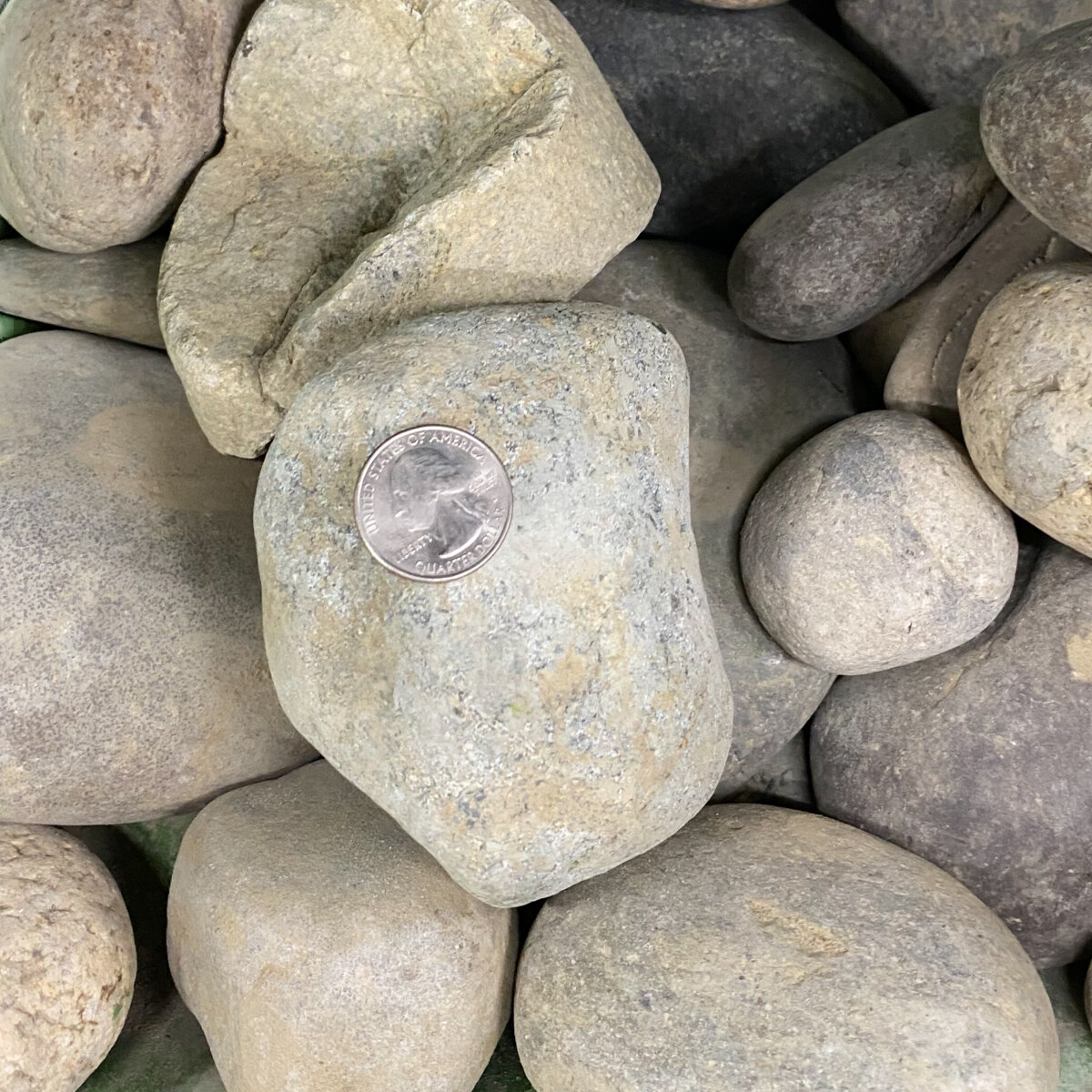 Bulk River Rock Lodi 2 in. - 4 in | SiteOne US