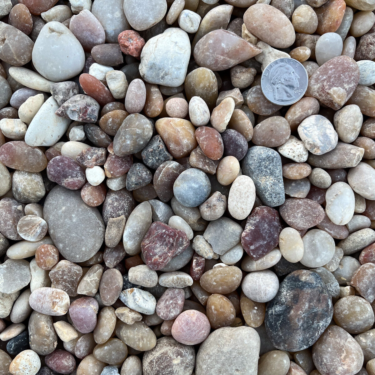 Bulk Alabama Sunset Gravel 3/4 in | SiteOne US