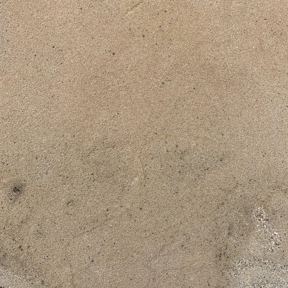 Squared Saddlewood Sandstone Snapped Edges 18 in. x 18 in. | SiteOne US