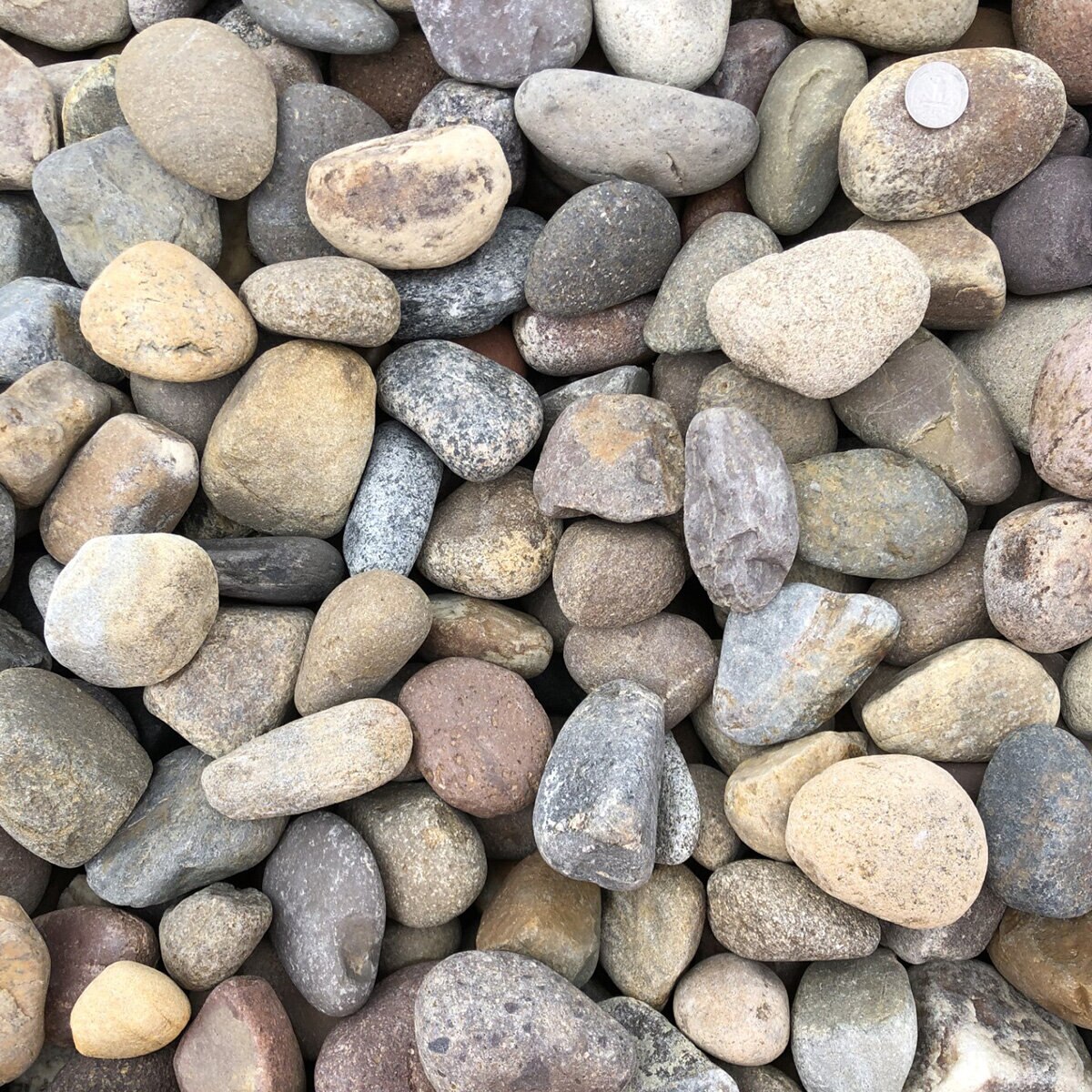 Palletized River Rock Las Palmas Mexican | SiteOne US