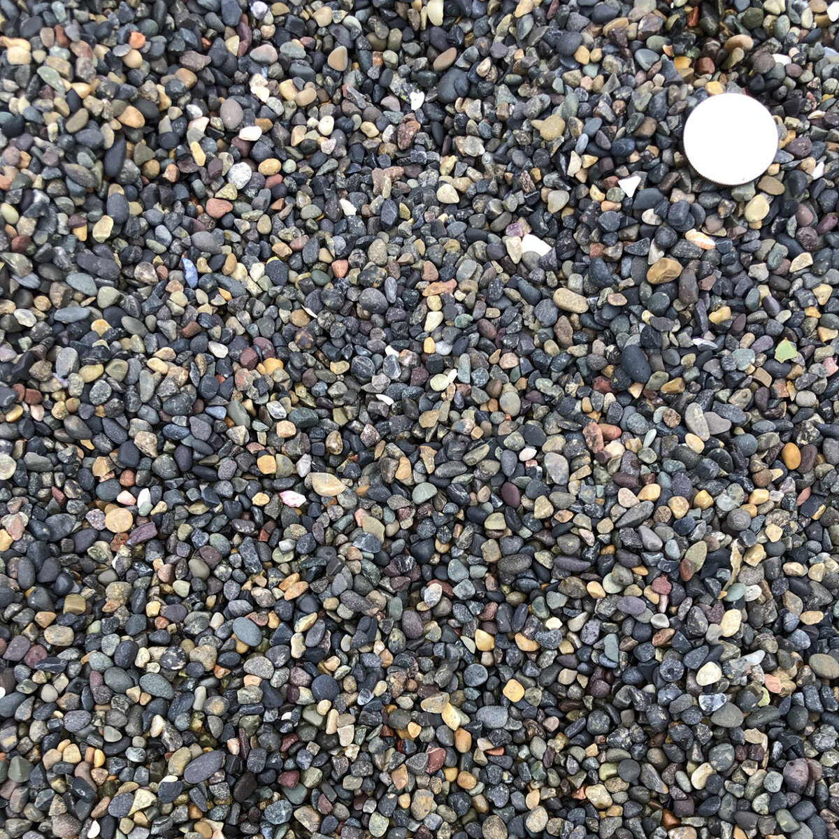 Bagged Mexican Beach Pebbles Mixed Color 1/8 - 1/4 in. (75 lb. Bag ...