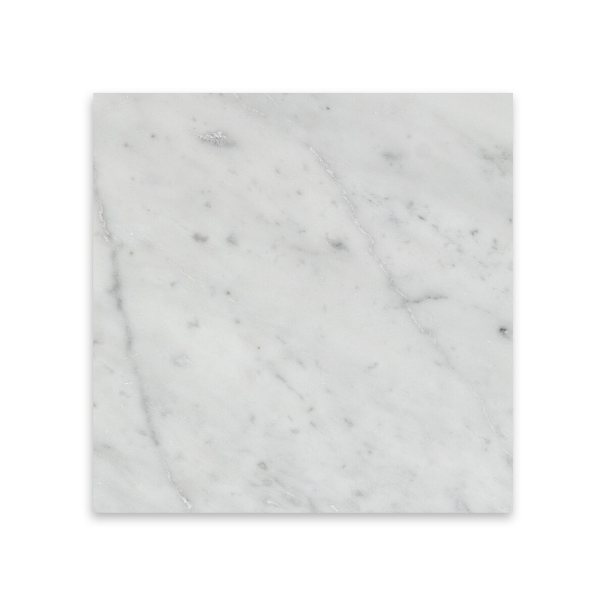 Dimensional Marble Tile Tumbled White Carrara 12 in. x 12 in | SiteOne