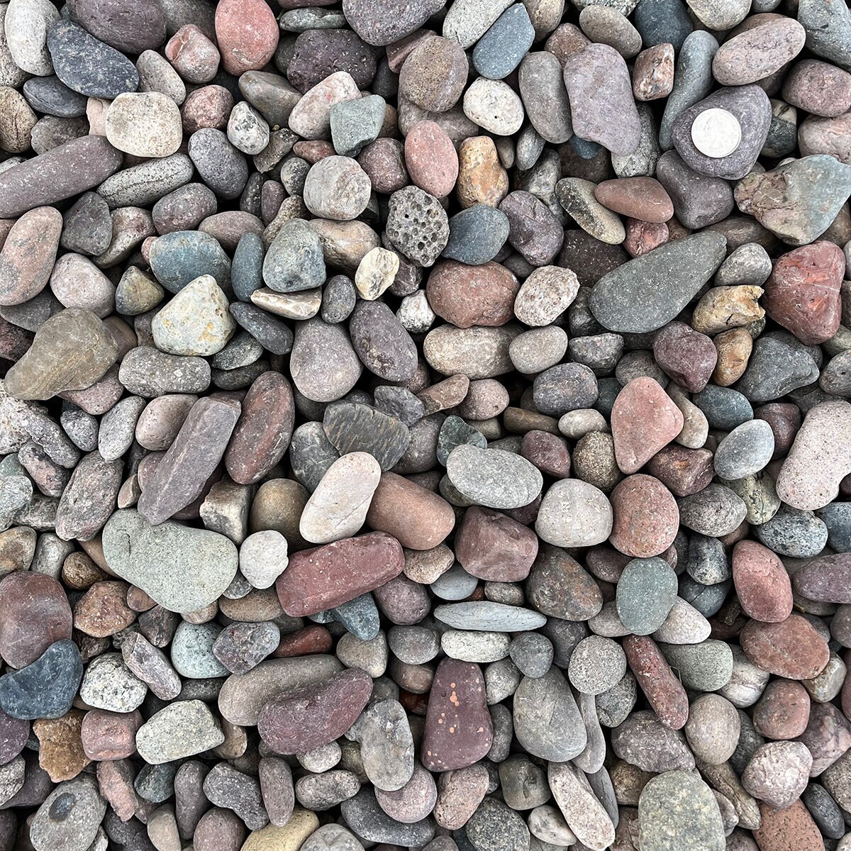 Bulk River Rock Arizona 3/4 in. - 1 1/2 in | SiteOne
