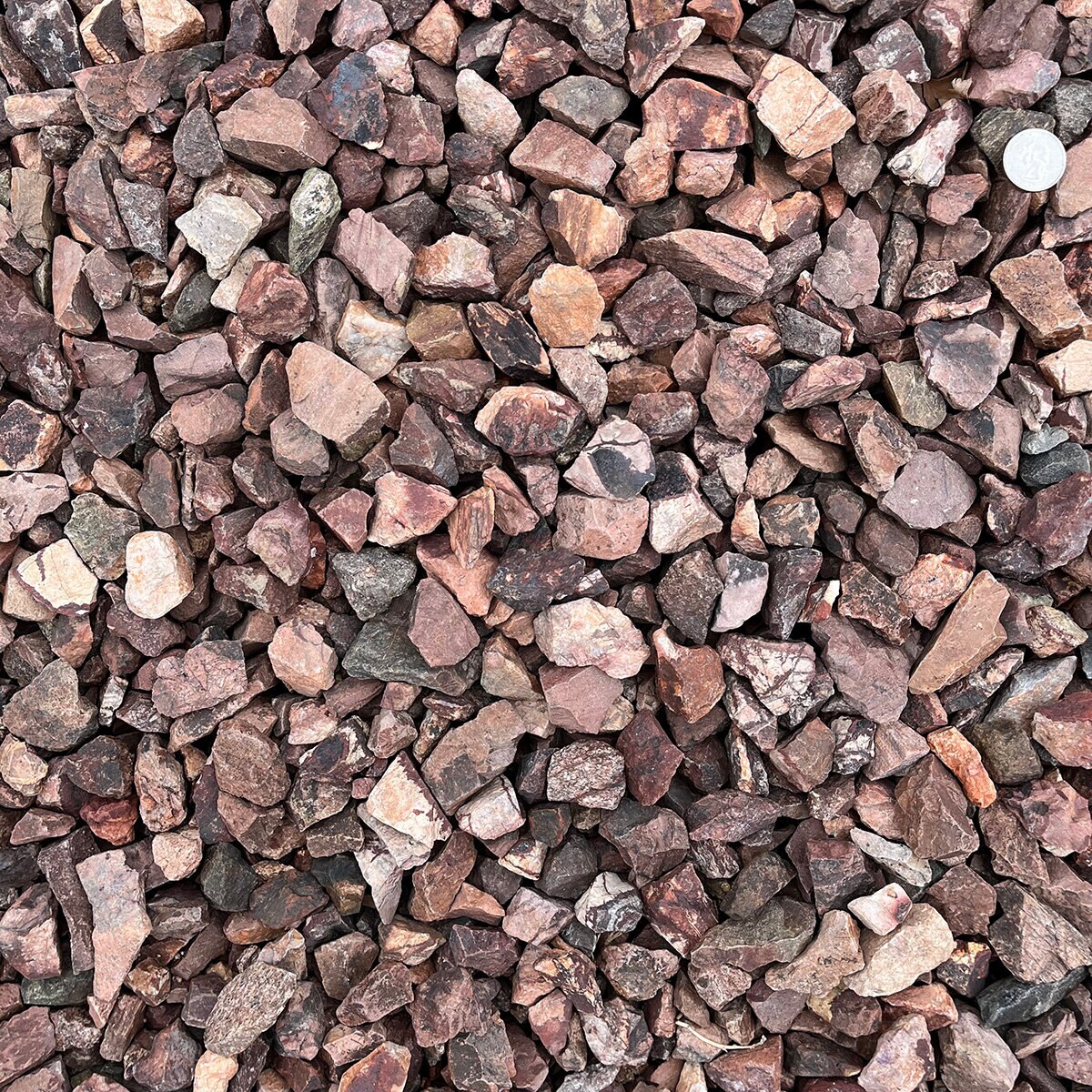 Bulk Jesse Red 1 in. Screened | SiteOne US