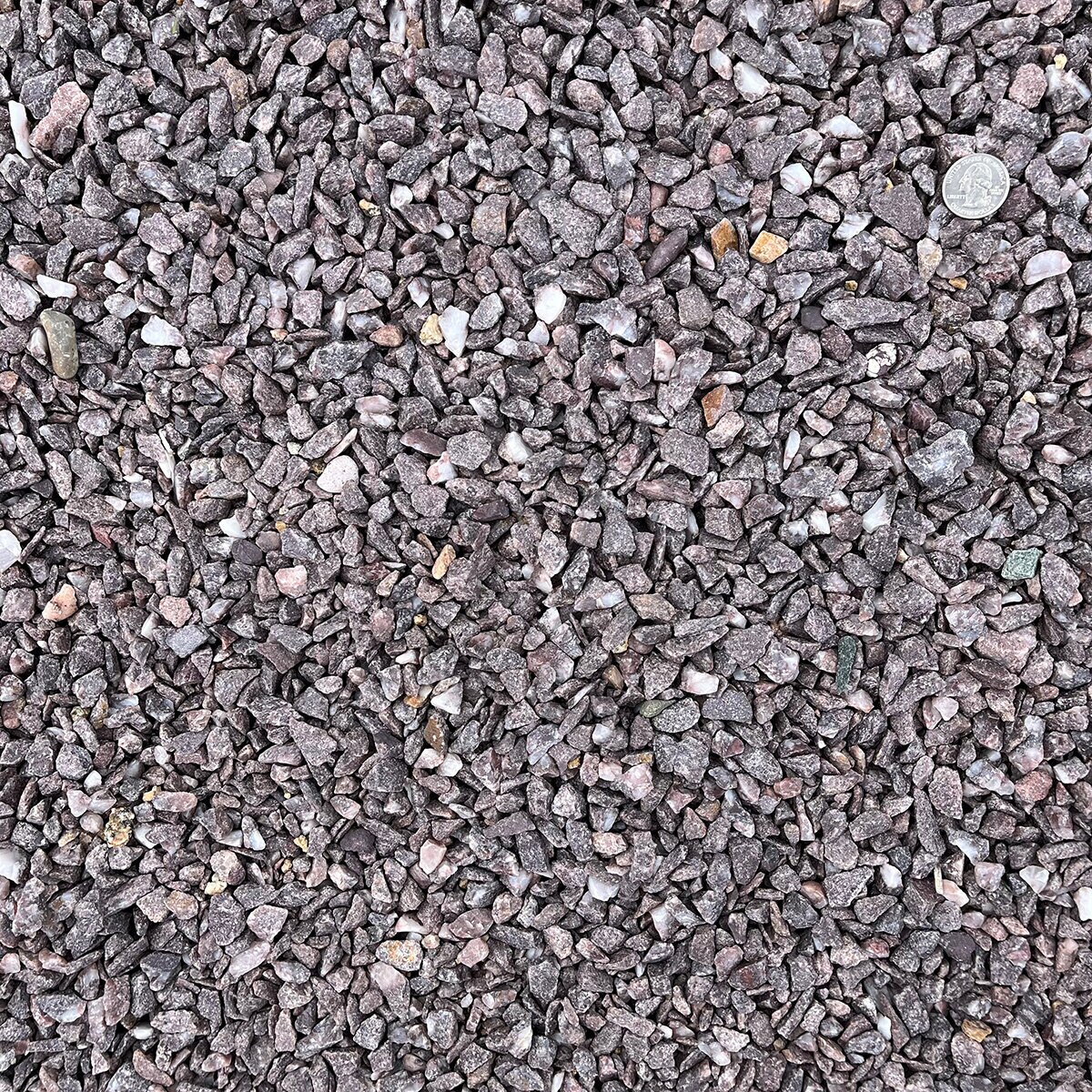 Bulk Desert Plum 1/2 in | SiteOne