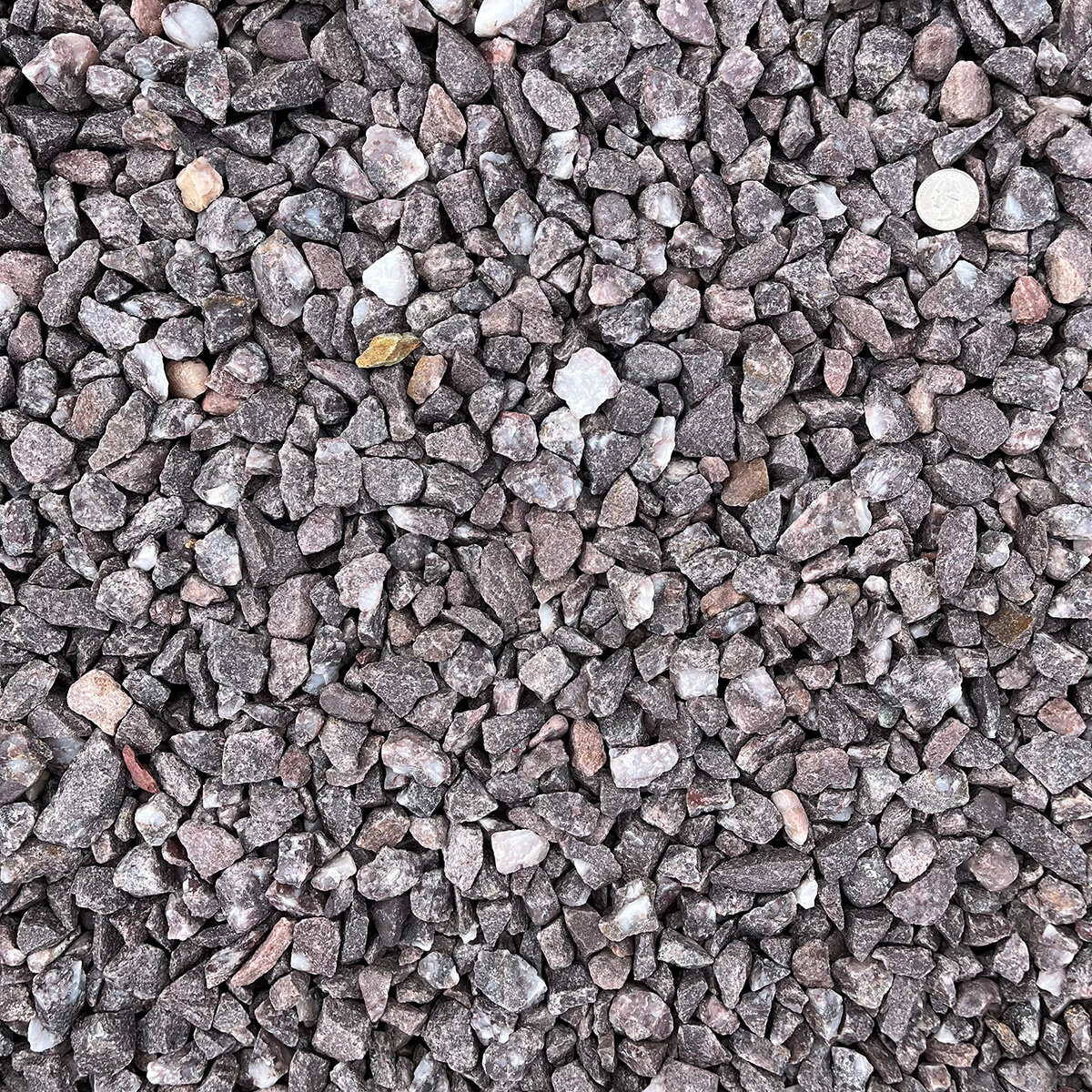 Bulk Desert Plum 3/4 in | SiteOne US