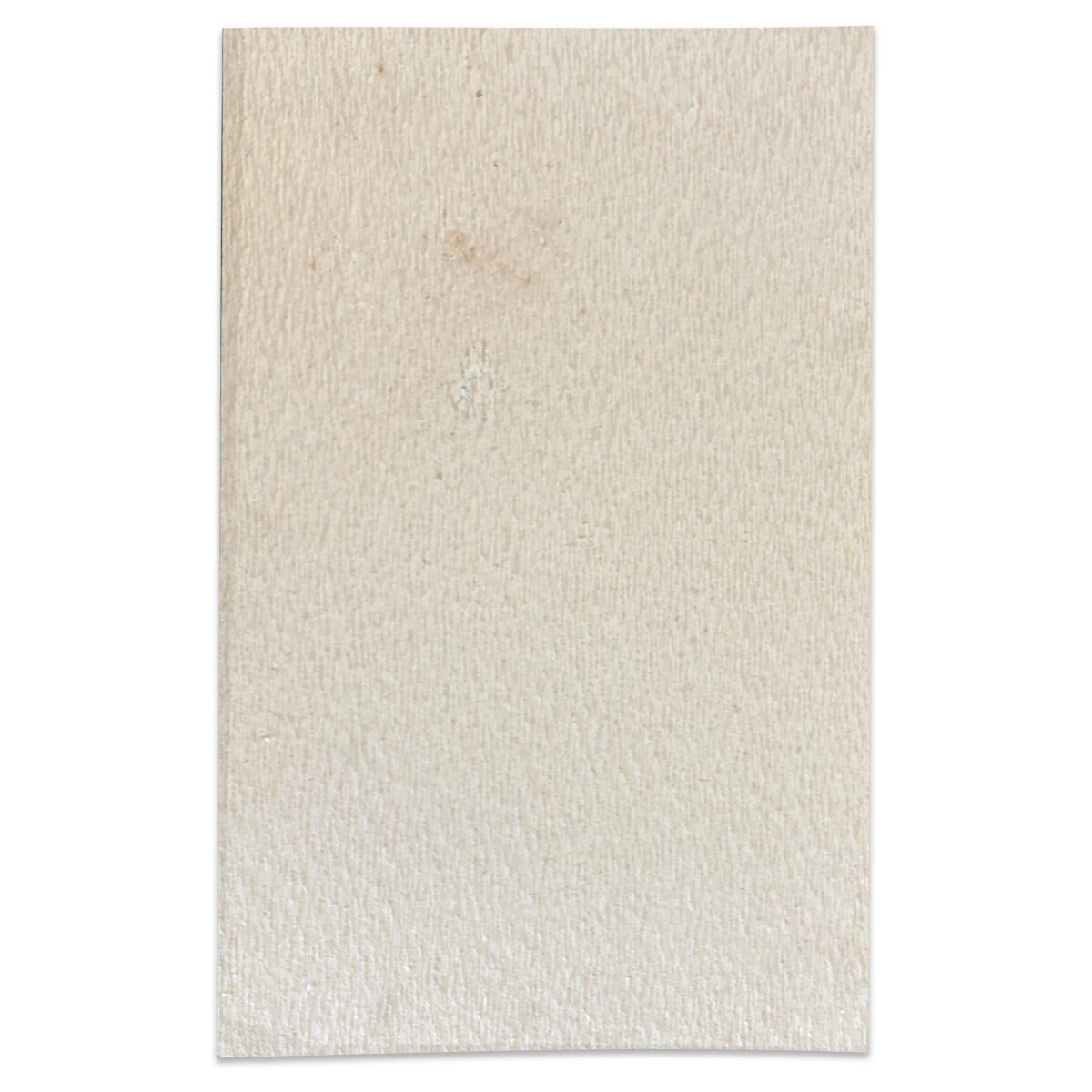 Cladding Barcelona Beige Limestone Riven Finish 2 cm x | SiteOne