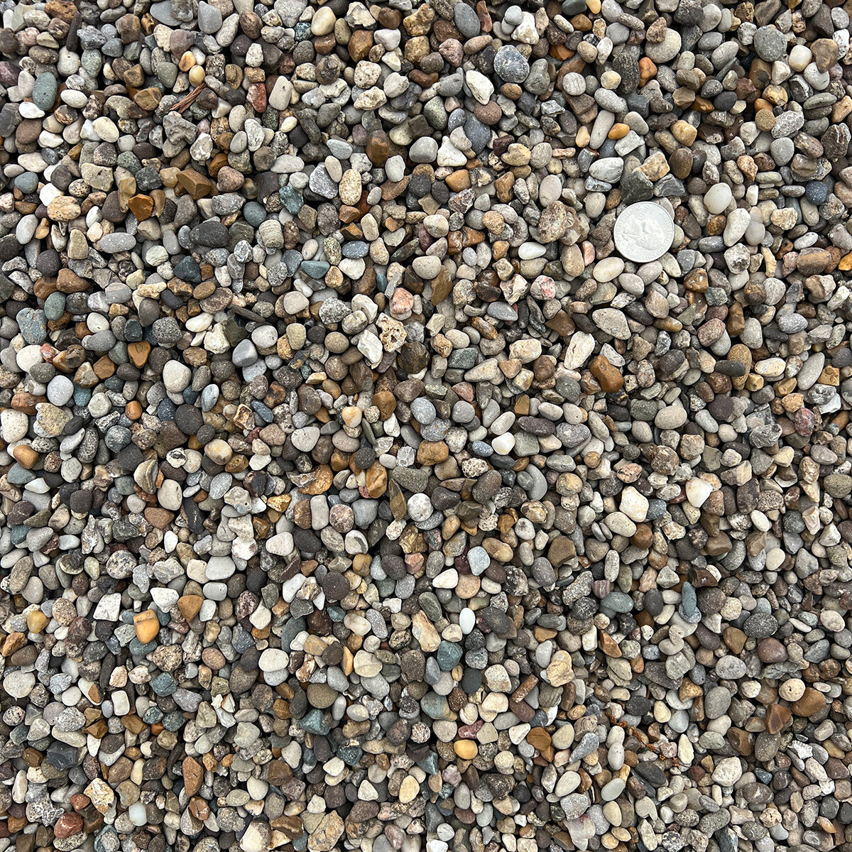 Bulk River Rock Indian Creek Pea Gravel 3/8 in | SiteOne US