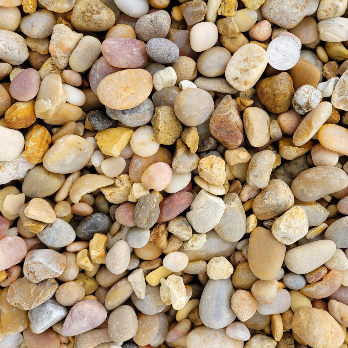 Bulk Alabama Sunset Gravel Landscape Mix | SiteOne US