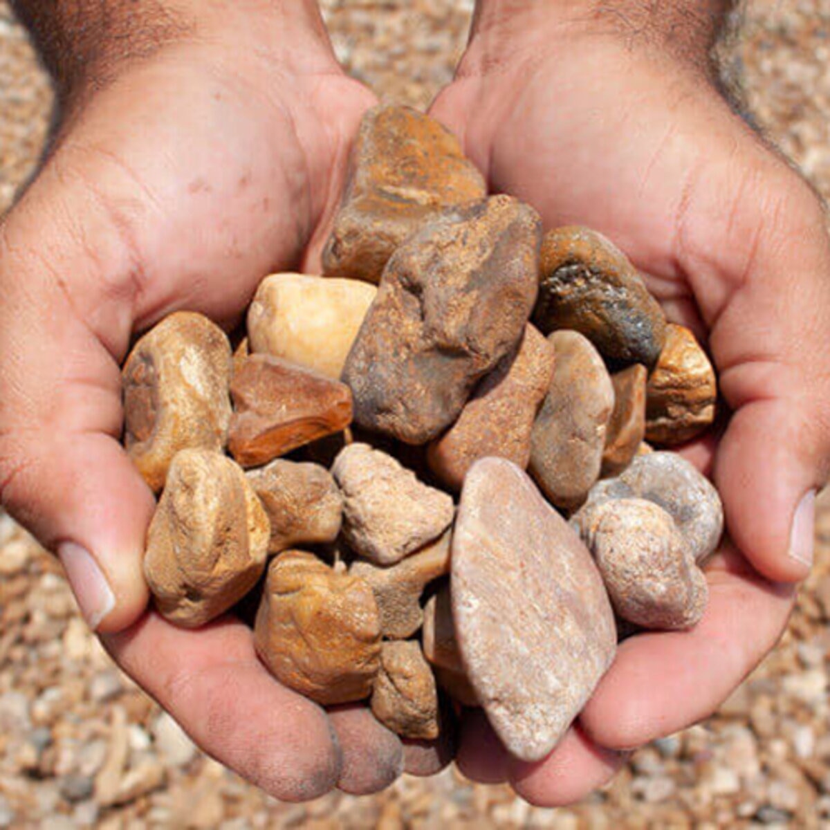 Bulk River Rock Texas Blend 2 in | SiteOne US