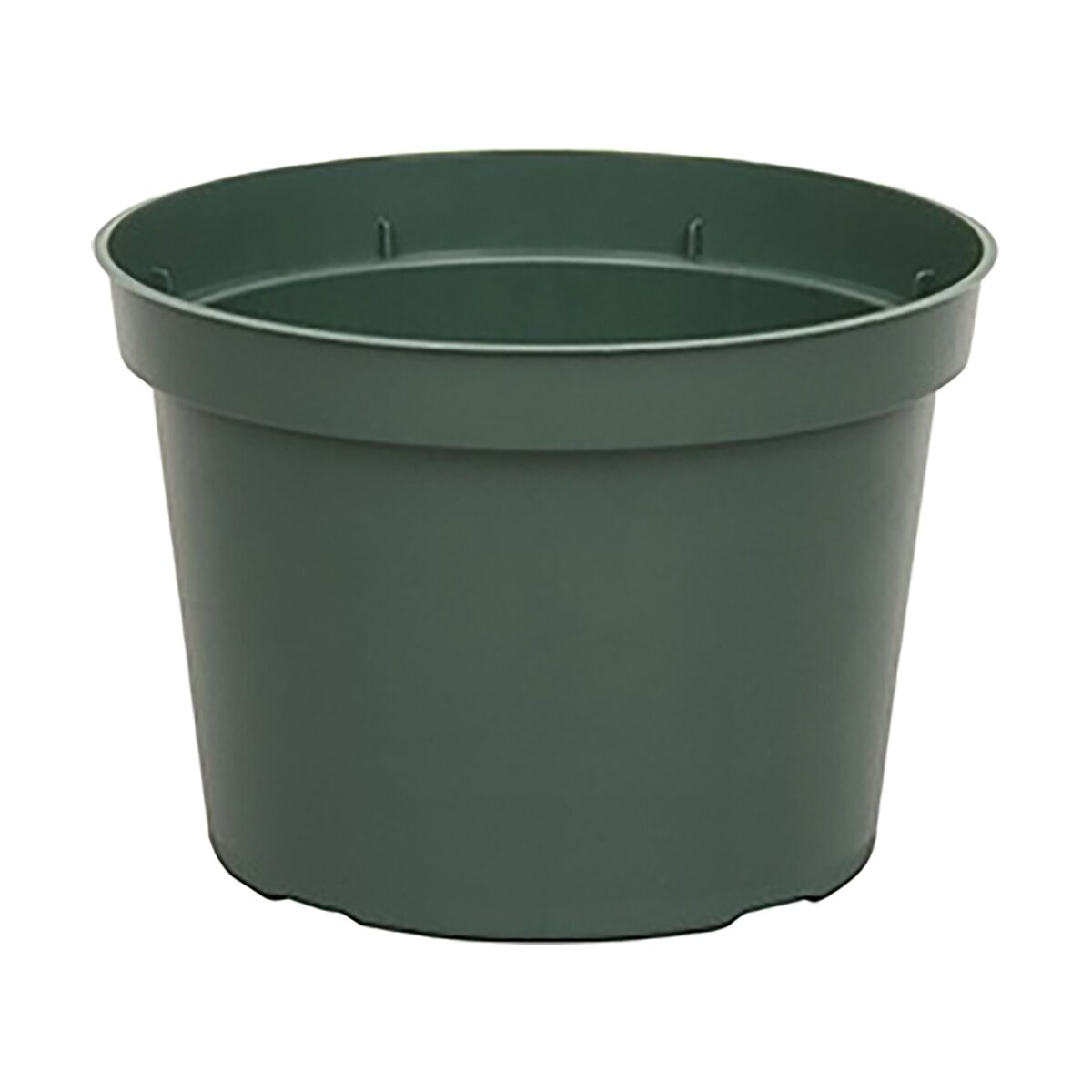 Azalea Pot Green 352 Case 6 in. | SiteOne