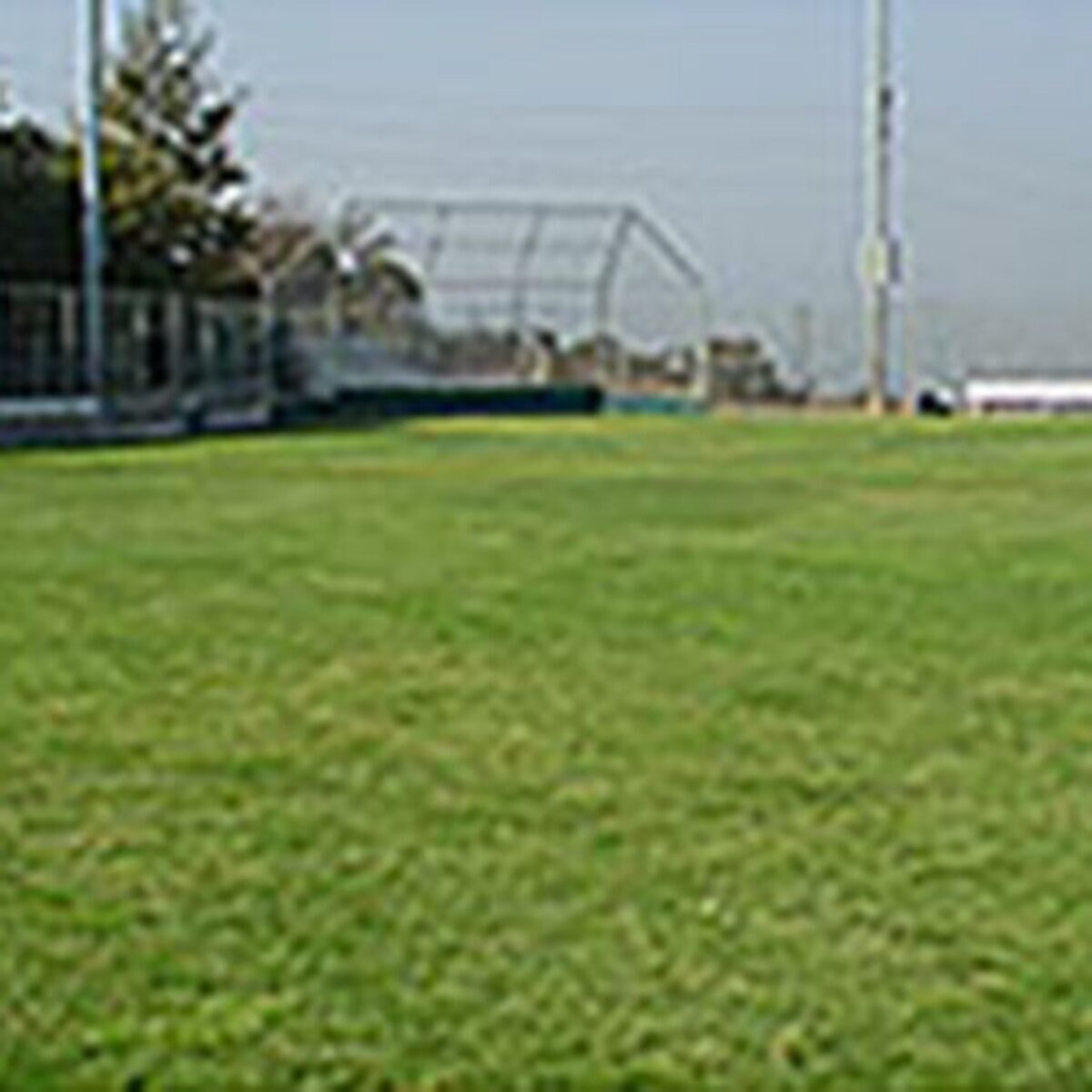 Pro Sportsfield Seed Mix 50 lb | SiteOne US