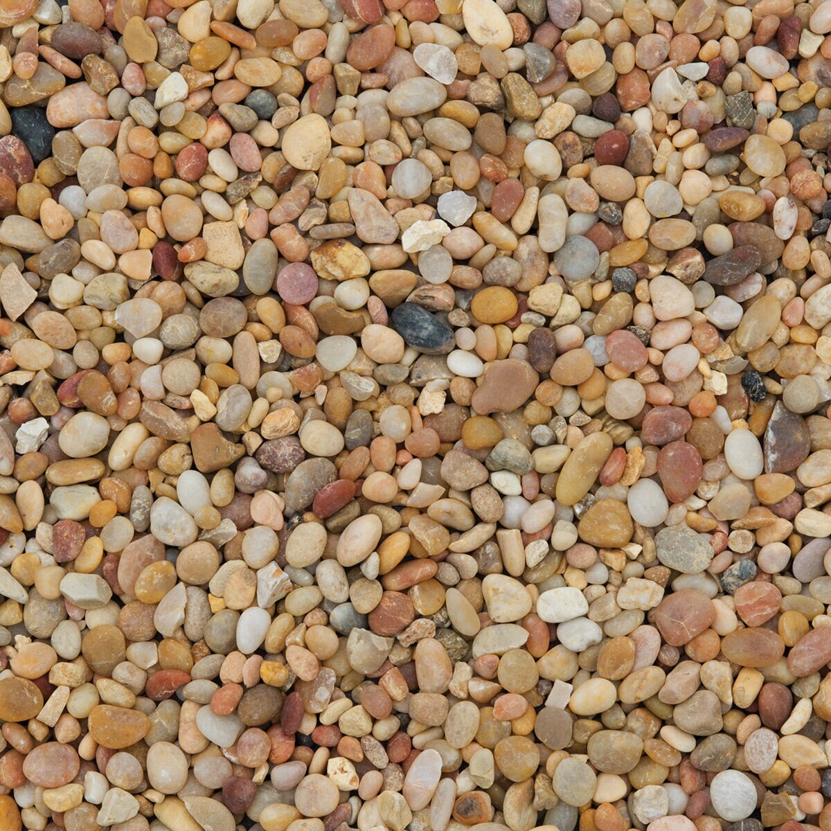 Bulk Salmon Bay Pebbles 1/2 in | SiteOne US