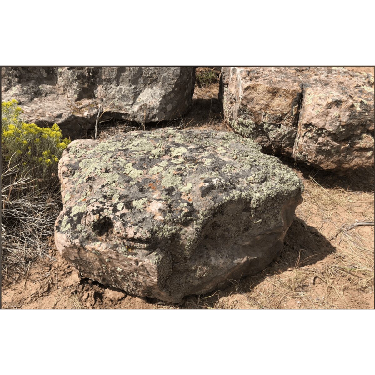 Rawlins Moss Rock Boulders | SiteOne US