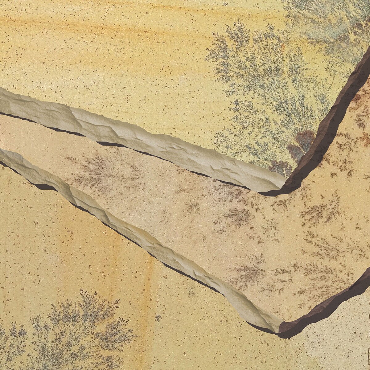 Sill Autumn Mist Sandstone Rockface 1 Long 2 in. x 3 in. x 24 in ...
