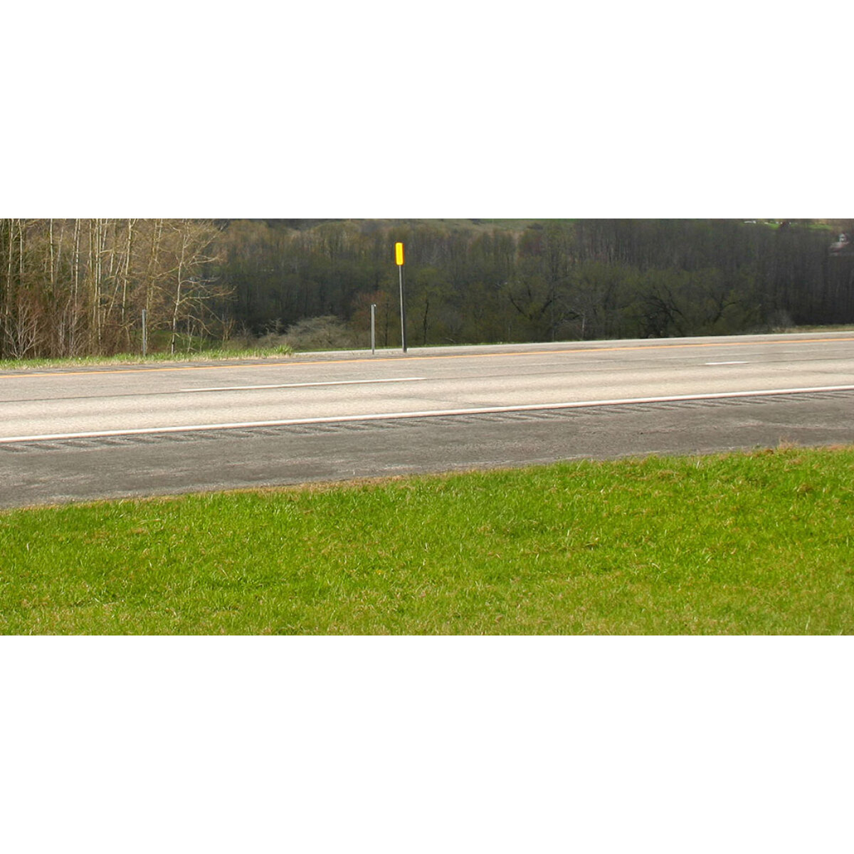 Poa Supina Supranova Seed 5 lb | SiteOne US