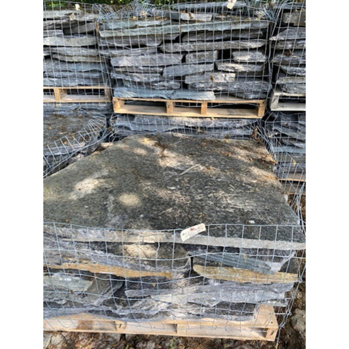 Flagstone Silver Mist | SiteOne US
