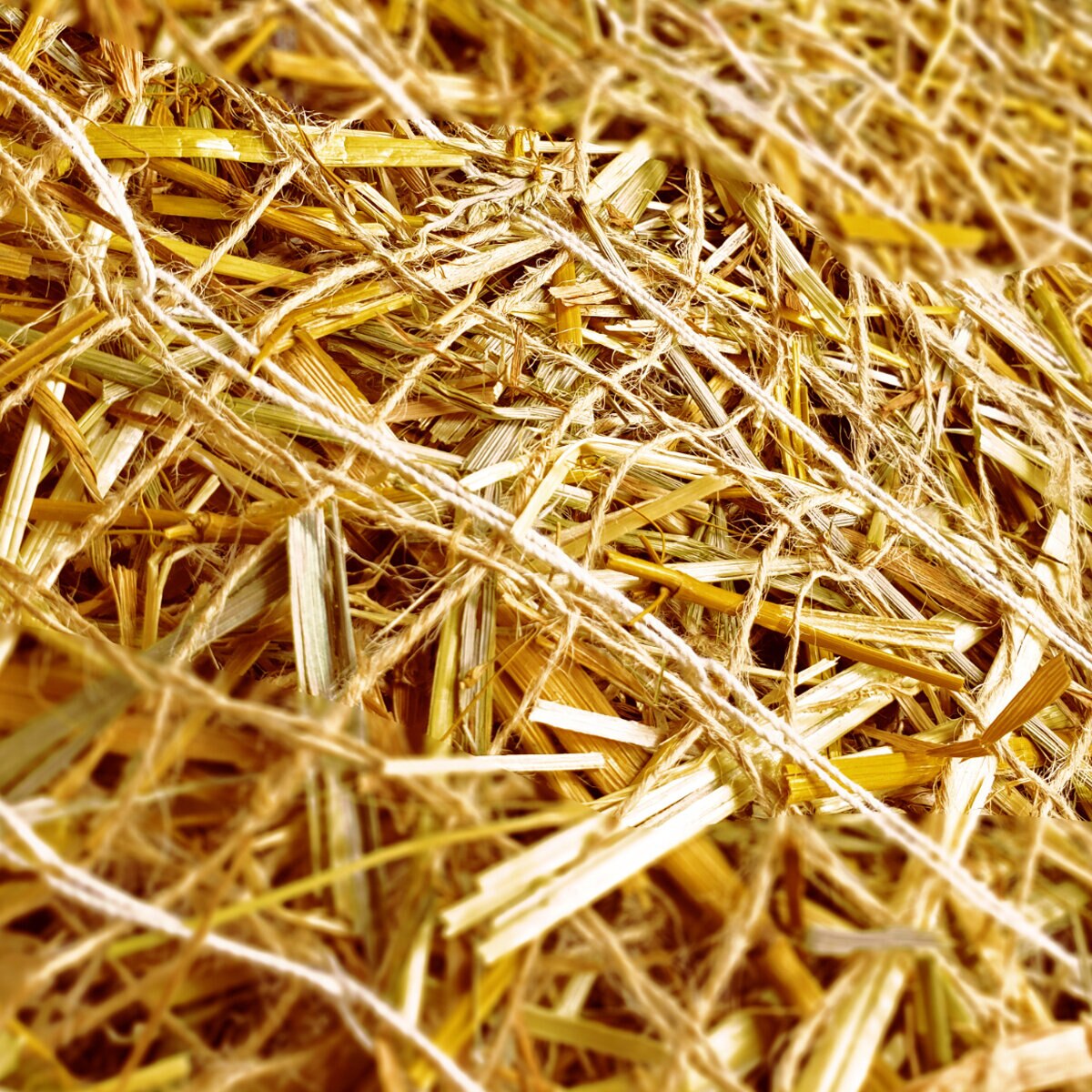 Western Green Straw Blanket Double Poly Net 8 ft. x 112.5 ft | SiteOne US