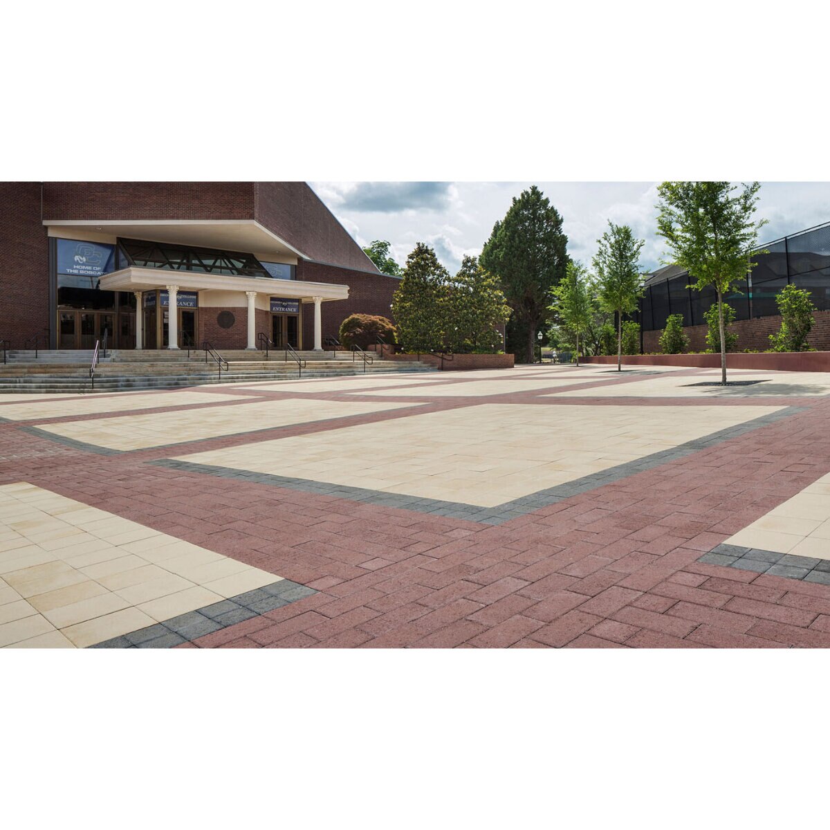 Belgard Moduline Pavers 12 in. x 12 in. 60mm Truncated Dome | SiteOne US