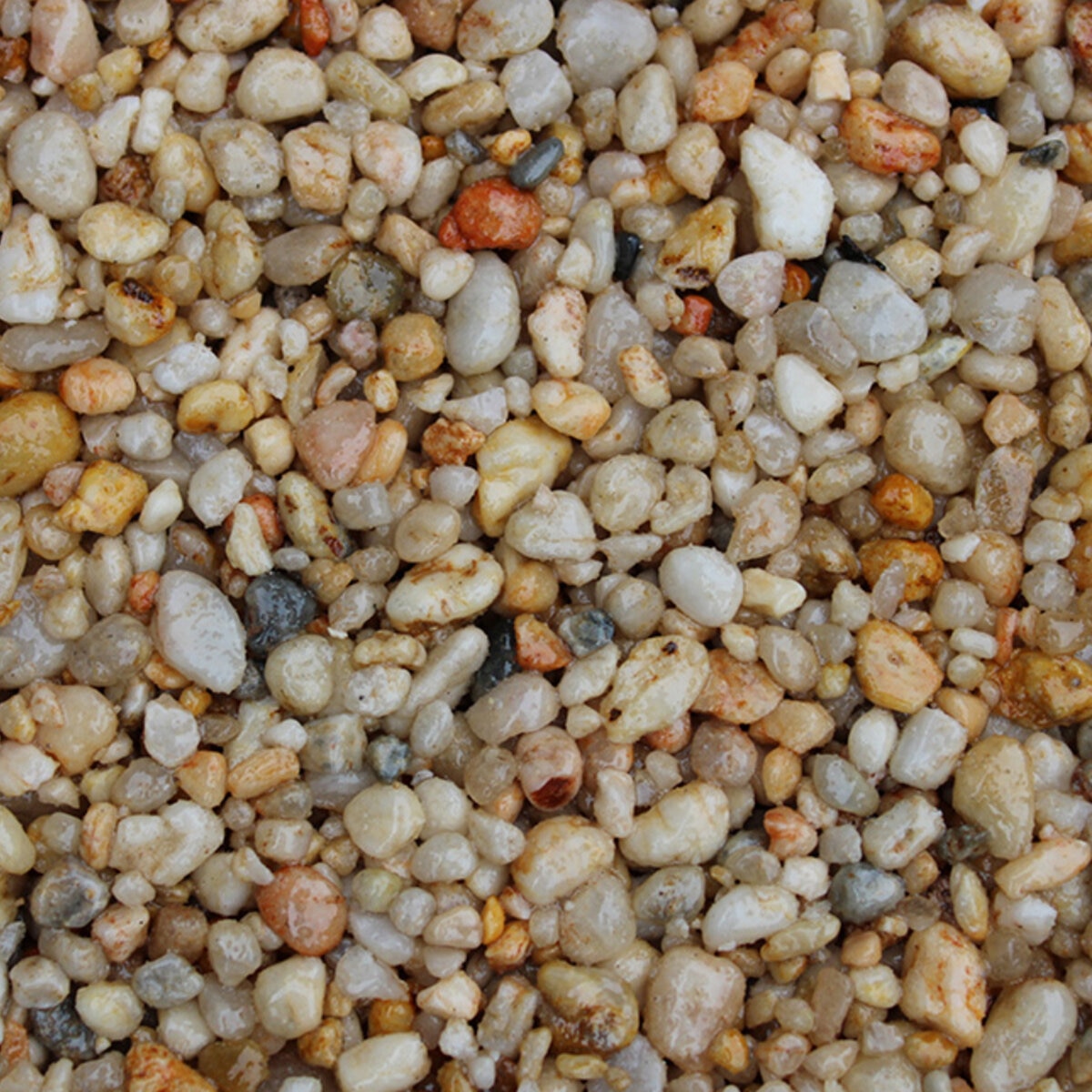 Ace Resin Doreset Gold Washed and Dried Aggregate 55 lb. Bag (Aggregate ...