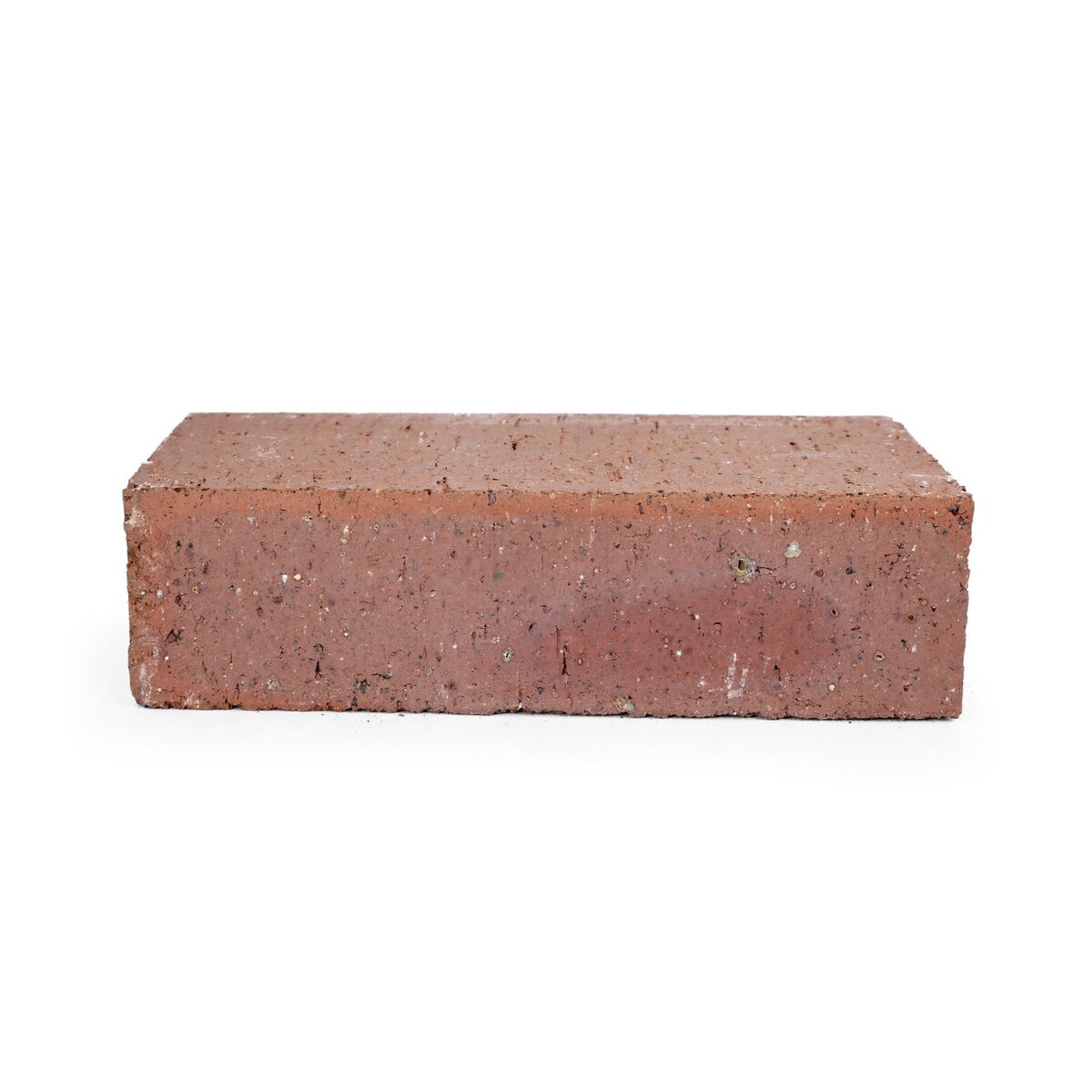 Antique Brick 4 in. x 8 in | SiteOne US