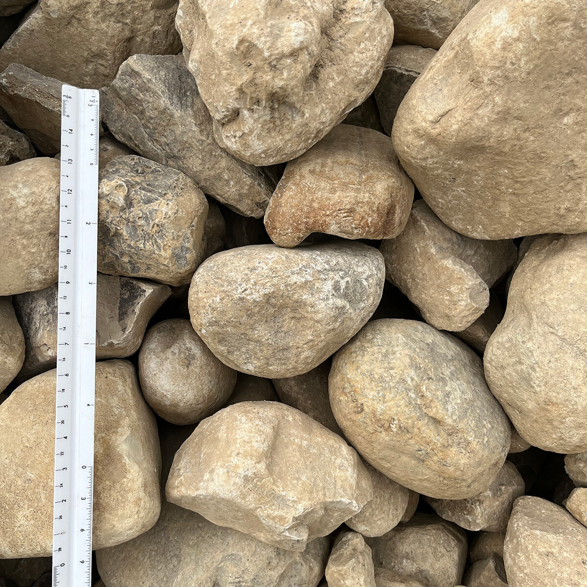 Bulk Washed Ohio Cobbles 4 - 8 in | SiteOne US