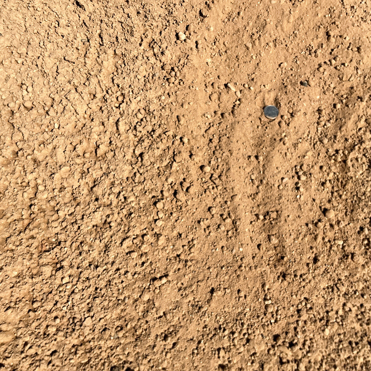 Screened Top Soil (AZ) Bulk (per ton) | SiteOne US