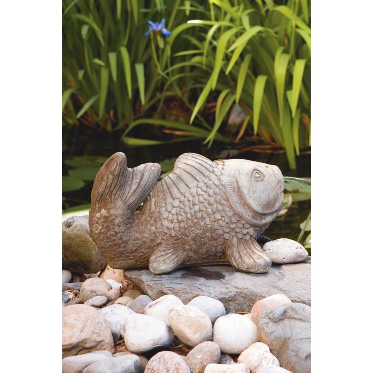 Massarelli Statue Koi Plumbed 11 in. x 16 in. x 8-1/2 in | SiteOne US